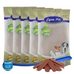 5 kg LYRA PET® Entenmedaillons + Ballschleuder