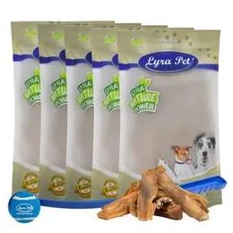 5 kg LYRA PET® Rinderkopfhaut goldbraun, dunkel + Ballschleuder