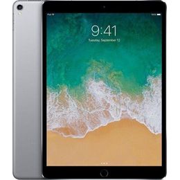 Apple iPad Pro 2 (2017) 10.5" 256 GB spacegrau