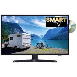 Reflexion LDDW19i+ LED-TV 47 cm 19 Zoll EEK F (A - G) CI+, DVB-C, DVB-T, DVB-T2, DVB-T2 HD, Full HD, Smart TV, WLAN Schwarz