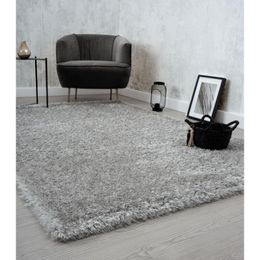 the carpet - Eleganter Hochflor Teppich, Shaggy, Silber, 160 x 230 cm