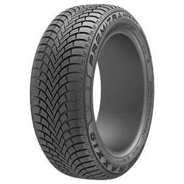 Maxxis Winterreifen "Maxxis" Autoreifen PREMITRA SNOW WP-6 Gr. 205mm / 50 % R 17 93V, schwarz