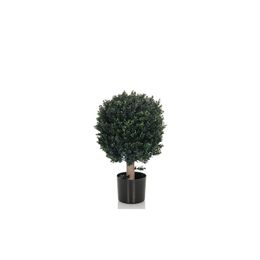 hjh OFFICE Kunstpflanze BUXUS Kunststoff