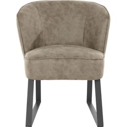 Sessel exxpo - SOFA FASHION "Americano, Loungesessel", braun (cognac), B:66cm H:80cm T:69cm, Sessel, Esszimmersessel, mit Keder und Metallfüßen, Bezug in verschiedenen Qualitäten, 1 Stck.
