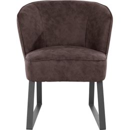 Sessel exxpo - SOFA FASHION "Americano, Loungesessel", braun (chocco), B:66cm H:80cm T:69cm, Sessel, Esszimmersessel, mit Keder und Metallfüßen, Bezug in verschiedenen Qualitäten, 1 Stck.