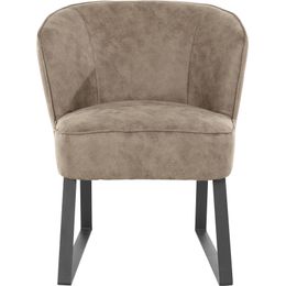 Sessel exxpo - SOFA FASHION "Americano, Loungesessel", braun (cappuccino), B:66cm H:80cm T:69cm, Sessel, Esszimmersessel, mit Keder und Metallfüßen, Bezug in verschiedenen Qualitäten, 1 Stck.