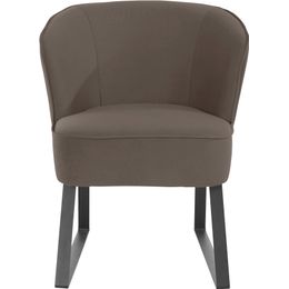 Sessel exxpo - SOFA FASHION "Americano, Loungesessel", grau (taupe), B:66cm H:80cm T:69cm, Sessel, Esszimmersessel, mit Keder und Metallfüßen, Bezug in verschiedenen Qualitäten, 1 Stck.