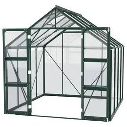 Gewächshaus Vitavia "Domus 6700" Gewächshäuser Gr. B/H/T: 257cm x 253,9cm x 263cm, grün (smaragdgrün) Doppelschwingtüren und bodentiefer Türschwelle, 3 mm Sicherheitsglas