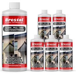 Brestol Algenentferner Pilzentferner Flechtenentferner Grünbelagentferner (Algen-, Pilz & Flechtenentferner 6x 1 Liter Arbeitet selbsttätig)