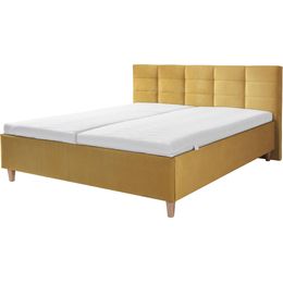 Polsterbett Alina, B:176cm H:102cm L:213cm, gelb, Struktur fein XBO (100% Polyester), Betten, "Ricardo", F&uuml;&szlig;e in Buche natur