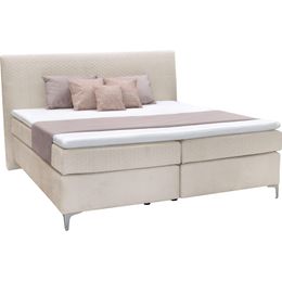Boxspringbett Alina, B:194cm L:215cm, beige, Samtstoff DFN (100% Polyester);Samtstoff DFH (100% Polyester), Komplettbetten, "Pamir", inklusive