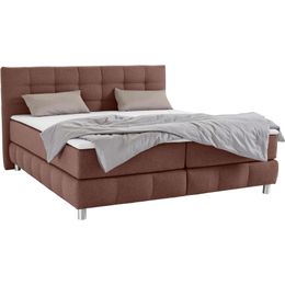 Boxspringbett Andas, B:194cm L:231cm, braun, Komplettbetten, "Salo XXL", in Samtoptik oder Struktur, 6 Breiten in Überlänge 220cm, 4 Härtegrade