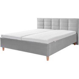 Polsterbett Alina, B:156cm H:102cm L:213cm, grau, Samt DMO (100% Polyester), Betten, "Ricardo", F&uuml;&szlig;e in Buche natur