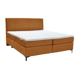 Boxspringbett Alina, B:182cm L:215cm, braun, Samtstoff DFN (100% Polyester);Samtstoff DFH (100% Polyester), Komplettbetten, "Petro", inklusive