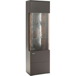 Vitrine, grau, SET ONE BY Musterring, Schr&auml;nke, "TACOMA", Typ 01, H&ouml;he 207, 4 cm, mit get&ouml;nter Glast&uuml;r