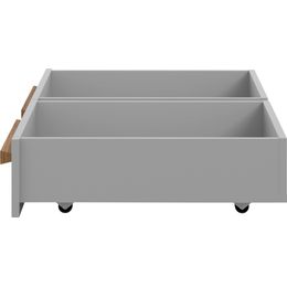 Bettschubkasten FORTE, B:101,8cm H:15cm T:53cm, grau, Holzwerkstoff, Schubladen, "Surfino"