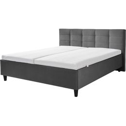 Polsterbett Alina, B:156cm H:102cm L:213cm, grau, Struktur fein XBO (100% Polyester), Betten, "Ricardo", F&uuml;&szlig;e schwarz
