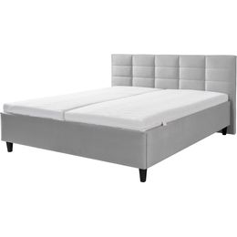Polsterbett Alina, B:176cm H:102cm L:213cm, grau, Samt DMO (100% Polyester), Betten, "Ricardo", F&uuml;&szlig;e schwarz