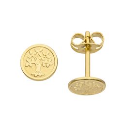Jobo Damen Paar Ohrstecker "Lebensbaum", 6,4mm, Gelbgold 333, gold, Gelbgold 333, Ohrringe, 333 Gold