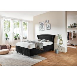 Boxspringbett, schwarz, Westfalia Schlafkomfort, Bezug Unterbox und Kopfteil: Mikrovelours, 100% Polyester;Bezug Obermatratze 100% Polyester,