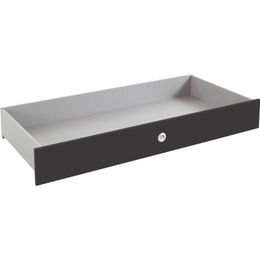 Schubkasten wimex, B:137cm H:19cm T:58cm, grau, Holzwerkstoff, Schubladen, "Easy", auf Rollen, praktische Erg&auml;nzung f&uuml;r wimex Betten "Easy"