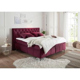 Boxspringbett, B:200cm L:210cm, rot, ED EXCITING DESIGN, 100% Polyester, Komplettbetten, "Pembroke", inkl. Topper