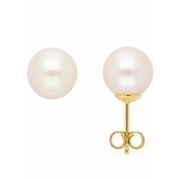 Adelia&acute;s ADELIA ́S Damen Paar Ohrh&auml;nger "1 Paar 585 Gold Ohrringe / Ohrstecker mit S&uuml;&szlig;wasser Zuchtperle", Damen, Gold, gold, Gold, Ohrringe, 585 Gold mit