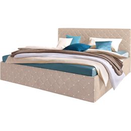 Polsterbett, B:170cm L:212cm, beige, Westfalia Schlafkomfort, Bezug Bett: Microfaser (100% Polyester);Bonnell-Federkernmatratze: 51% Polypropylen,