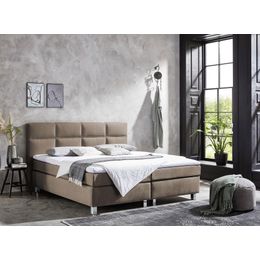 Boxspringbett, B:215cm L:210cm, beige, Westfalia Schlafkomfort, Bezug Bett: Feinstruktur 100% Polyester;Bezug Bonnell-Federkernmatratze: 100%