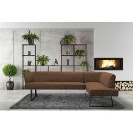 Eckbank, B:249cm H:83cm T:157cm, braun, exxpo - SOFA FASHION, Esszimmer, Sitzbänke, "Americano", mit Keder und Metallfüßen, Bezug in verschiedenen