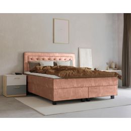 Boxspringbett LEONIQUE, B:181cm L:208cm, rosa, 100% Polyester, Komplettbetten, "Jeanne", inkl. Topper mit Taschen-Federkernmatratze