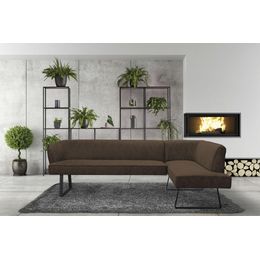 Eckbank, B:249cm H:83cm T:157cm, braun, exxpo - SOFA FASHION, Esszimmer, Sitzbänke, "Americano", mit Keder und Metallfüßen, Bezug in verschiedenen