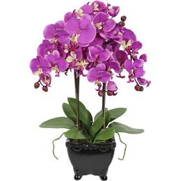 Kunstblume I.GE.A., B:20cm H:60cm L:18cm, rosa, Polyester, Kunstpflanzen, "Künstliche Orchidee in Schale Phalaenopsis Kunstblume Blume",