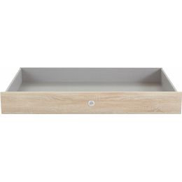 Schubkasten wimex, B:137cm H:19cm T:58cm, braun, Holzwerkstoff, Schubladen, "Easy", auf Rollen, praktische Erg&auml;nzung f&uuml;r wimex Betten "Easy"