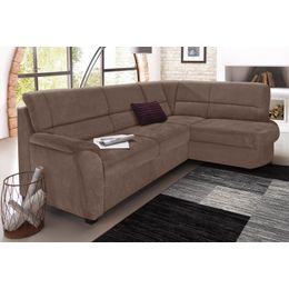 Sit & More Ecksofa SIT & MORE, B:251cm H:91cm T:176cm, braun, Luxus-Microfaser ALTARA NUBUCK (100% Polyester);Luxus-Microfaser ALTARA NUBUCK (100%