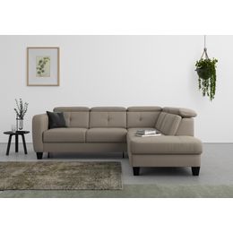 Sit & More Ecksofa SIT & MORE, B:249cm H:85cm T:195cm, braun, Wohnzimmer, Sofas, "Belluci L-Form", inklusive Federkern, wahlweise mit Bettfunktion und Bettkasten