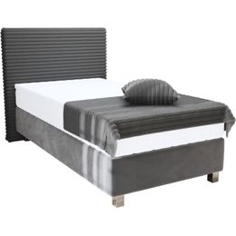 Boxspringbett, L:210cm, grau, Westfalia Schlafkomfort, 80% Baumwolle/ 20% Polyester;Polsterwatte: 100% Polyester, Komplettbetten, "Sven", inkl.