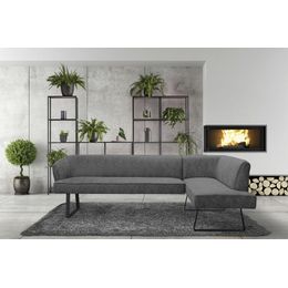 Eckbank, B:270cm H:83cm T:197cm, grau, exxpo - SOFA FASHION, Esszimmer, Sitzbänke, "Americano", mit Keder und Metallfüßen, Bezug in verschiedenen