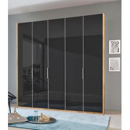 Kleiderschrank wimex, B:250cm H:216cm T:58cm, grau, Schlafzimmer, Schränke, "Level by fresh to go", Türen vollflächig mit farbigem Glas