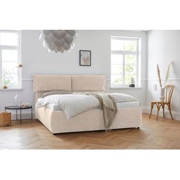 Polsterbett Andas, B:208cm L:225cm, beige, Struktur weich (85% Polyester/15% Nylon), Betten, "Jenson", als Bettgestell oder mit 3 Matratzenarten und