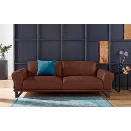2,5-Sitzer W.Schillig, B:232cm H:78cm T:94cm, braun, Sofas, "montanaa", mit Metallkufen in Schwarz pulverbeschichtet, Breite 232 cm