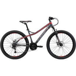 Bikestar Mountainbike, 41cm, 26 Zoll (66,04cm), grau, Fahrräder, für Damen und Herren, Kettenschaltung