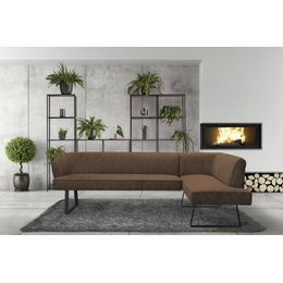 Eckbank, B:270cm H:83cm T:197cm, braun, exxpo - SOFA FASHION, Esszimmer, Sitzbänke, "Americano", mit Keder und Metallfüßen, Bezug in verschiedenen