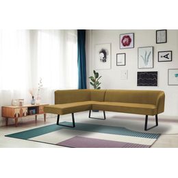 Eckbank, B:249cm H:83cm T:157cm, gelb, exxpo - SOFA FASHION, Esszimmer, Sitzbänke, "Americano", mit Keder und Metallfüßen, Bezug in verschiedenen