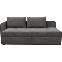 Schlafsofa Alina, B:205cm H:73cm T:95cm, grau, Struktur fein XBO (100% Polyester), Kinderzimmer, Sofas, "Marla", inkl. Stauraum & 2 Rückenkissen,