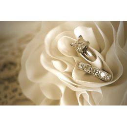 papermoon Fototapete "Ring in Rose", B/L: 4,5mm x 2,8mm, Bahnen: 9 Stk. St., bunt, Schlafzimmer, Tapeten