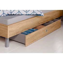 Schubkasten wimex, B:137cm H:19cm T:58cm, beige, Holzwerkstoff, Schubladen, "Easy", auf Rollen, praktische Erg&auml;nzung f&uuml;r wimex Betten "Easy"