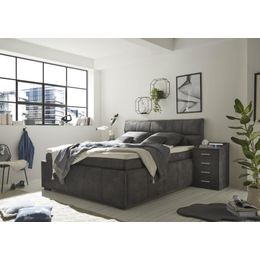 Boxbett, B:203cm L:213cm, grau, ED EXCITING DESIGN, 100% Polyester, Komplettbetten, "Avidano", inkl. zwei Bettk&auml;sten