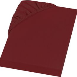 Spannbettlaken SETEX, B:140cm L:200cm, rot, Feinbiber, Obermaterial: 70% Baumwolle, 30% Lyocell (TENCEL ), Bettlaken, "REFIBRA Feinbiber", aus bis zu