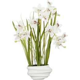 Mica Decorations Mica Cymbidium im Topf creme 49 x 40 x 81 cm Eingetopft